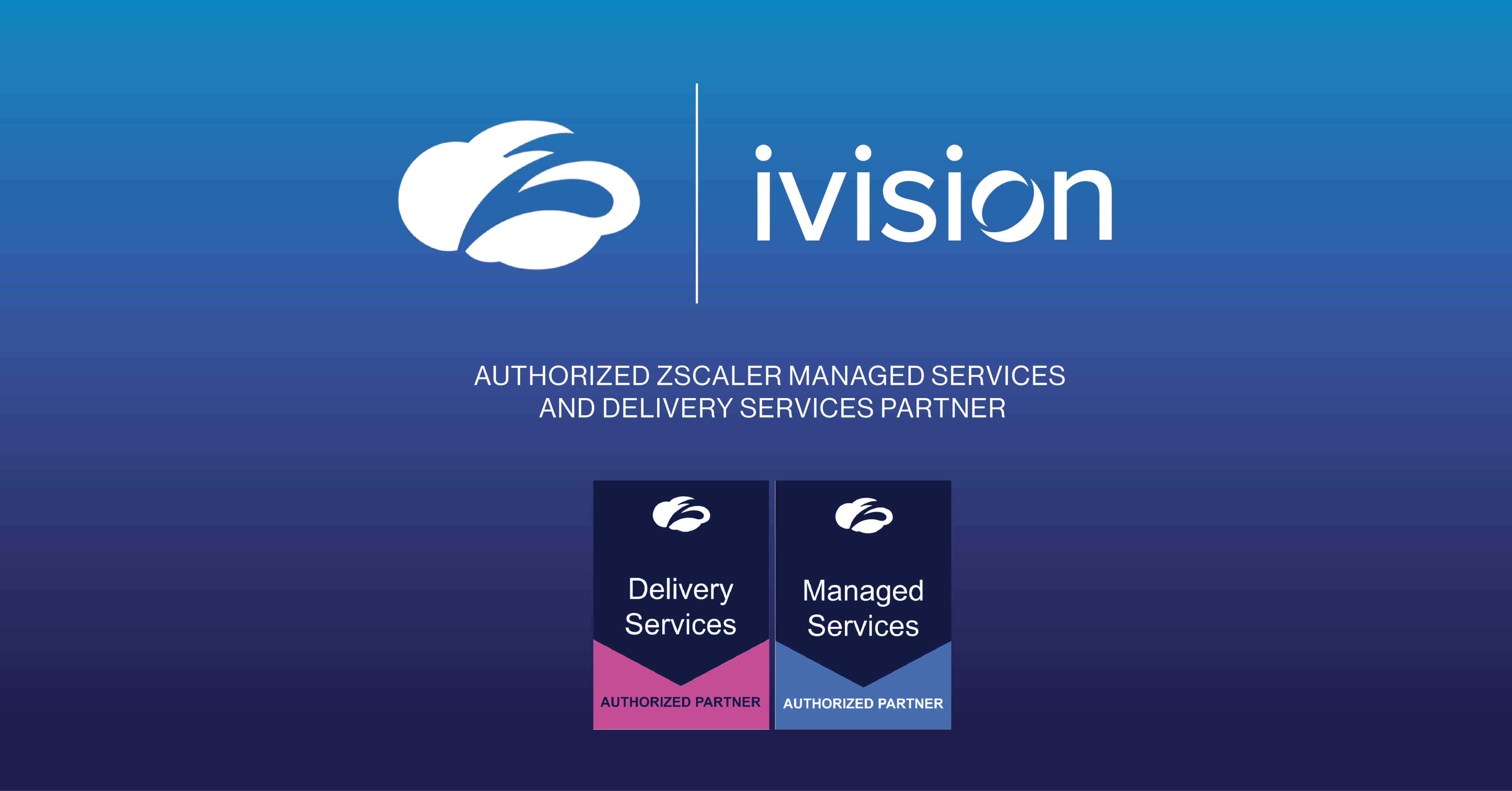 Our Partners | Companies We Work With | ivision